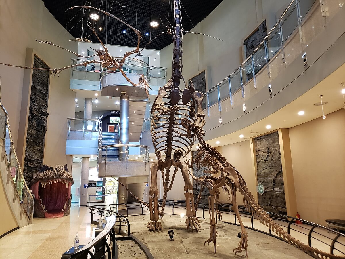 The Goseong Dinosaur Museum with Playgrounds and a Beautiful Café ...